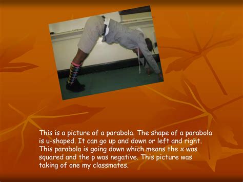 Conics Project Ppt