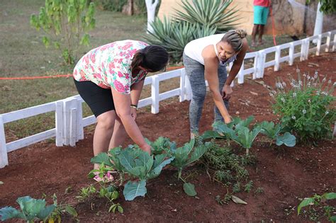 Hospital De Amor Desenvolve Horta Comunitária Para Pacientes E Seus