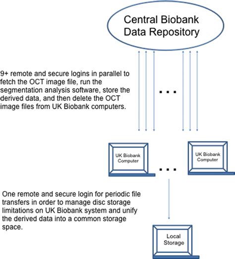 Uk Biobank Data Processing Scheme The Source Data Optical Coherence