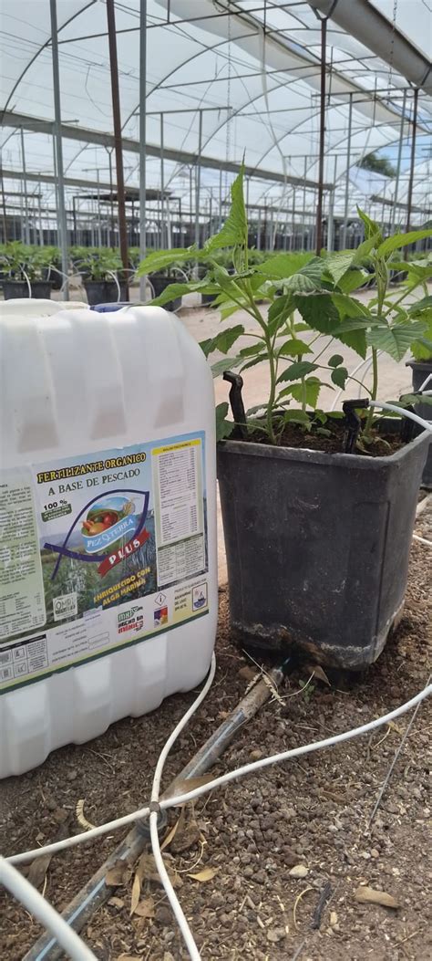 Fertilizante Pez Terra Plus Fertilizante Pez Terra Plus