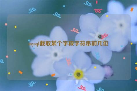 Mysql截取某个字段字符串前几位 It文章 陈派导航