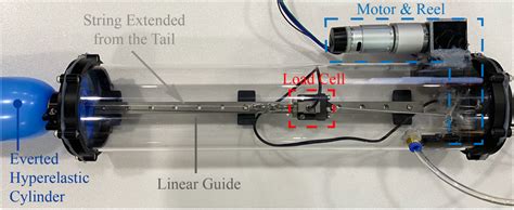 Setup For The Retraction Experiment For Measuring The Required Tail