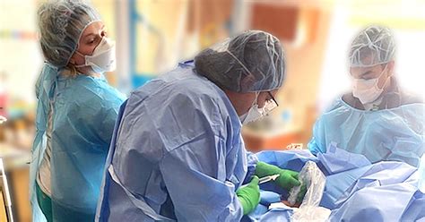 Occluded Picc Removed With Client Shadowing Vascular Wellness