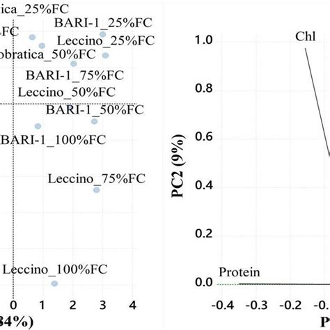 loading plot of variables left and score plot of observations right