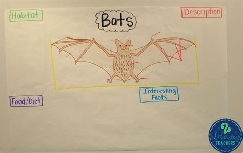 2 Literacy Teachers Pictorial Input Chartsyou Should Use Them