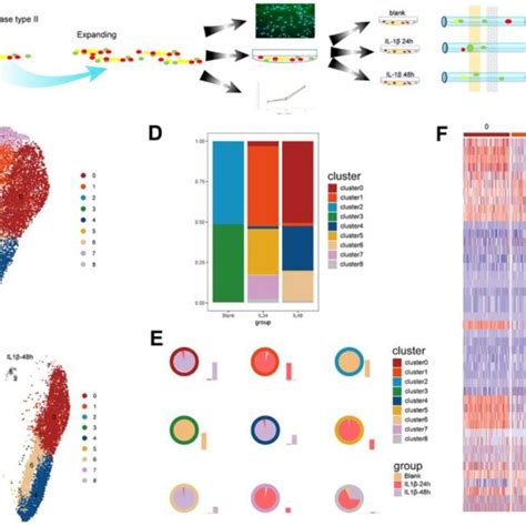 Work Flow And Identification Of Cell Clusters A A Schematic Of The