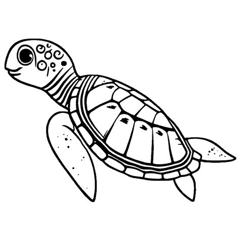 Sea Turtle Coloring Page · Creative Fabrica