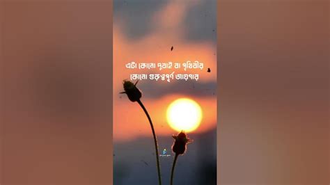 কেউ যদি সূরা ইখলাস 10 বার পাঠ করে Youtube