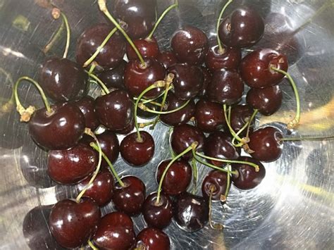 Create Meme Cherry Large Cherry Cherry Varieties Pictures Meme