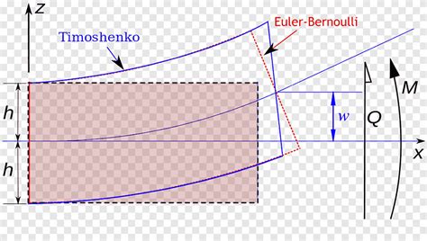 euler beam the best picture of beam