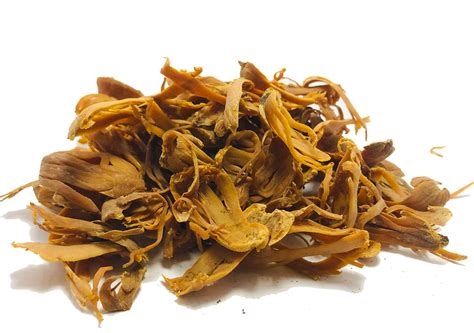 Mace Dp Ceylon