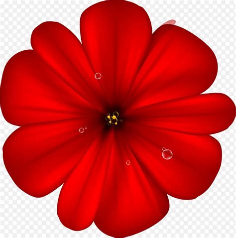 红色花蕊素材png图片素材下载图片编号qonalead 免抠素材网