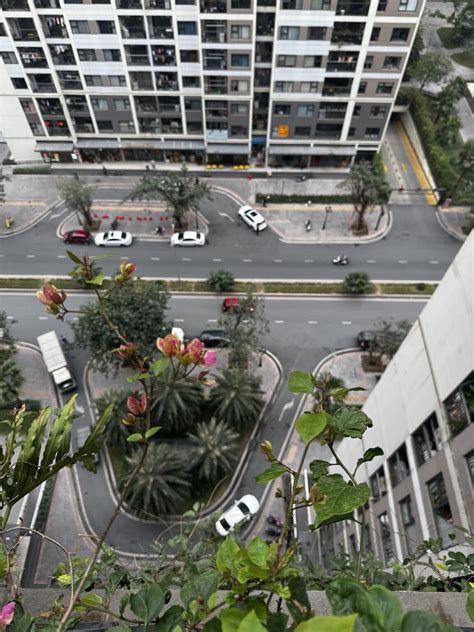 nguyen thi lan anh on linkedin hôm nay chính thức cho em laptop cô đơn để sống mấy ngày tháng