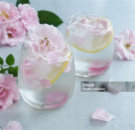 여름 신선한 음료 레몬 얼음 새끼와 푸른 배경에 장미 꽃잎과 레모네이드 해독 물 여름 음료 맨 위 보기 복사 공간 장미에 대한 스톡 사진 및 기타 이미지 Istock
