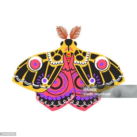 색깔 우아한 비행 Bunaeopsis 나방 화려하고 아름다운 밤 나비는 흰색 배경에 고립되어 있습니다 밝은 평면 곤충 벡터