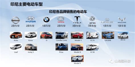 山海图：印尼新能源汽车产业呈现井喷式增长 知乎