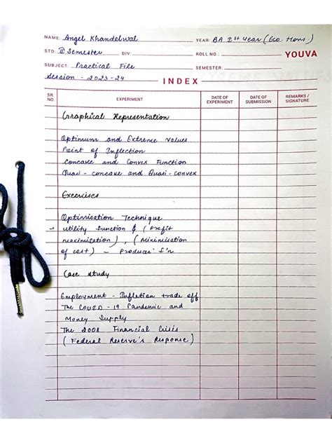 practical file pdf