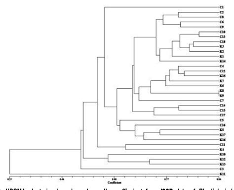 Figure 1 From Using Inter Simple Sequence Repeat Markers To Analyze The