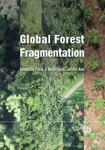 Global Forest Fragmentation An Aerial View