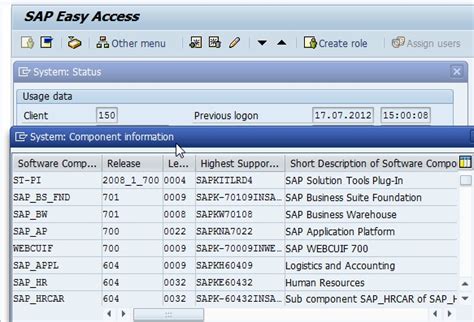 How To Check The EHP Of Portal And ECC