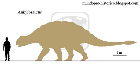 Mundo Pré Histórico Anquilossauro O Dinossauro Com Armadura