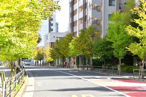 「千住大橋」駅と「北千住」駅の2つの街を生活圏に、再開発により魅力が増す千住大橋エリア 千住大橋エリアガイド