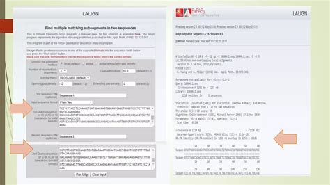 Dot Matrix Analysis Tools Bioinformatics Ppt