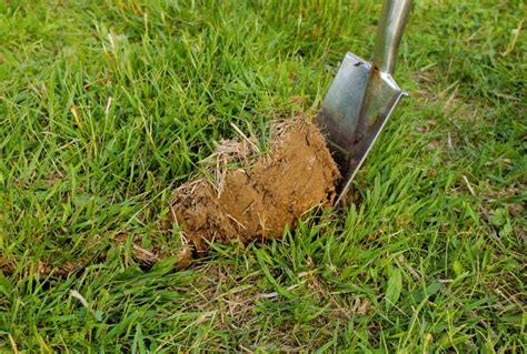 How To Remove Grass From Your Yard