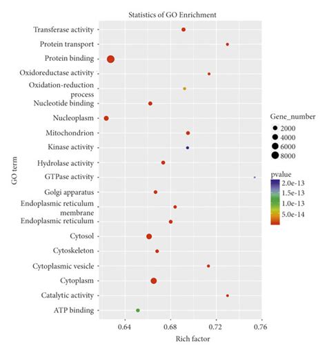 Functional Analyses Of The Potential Target Genes Of The Identified Download Scientific Diagram