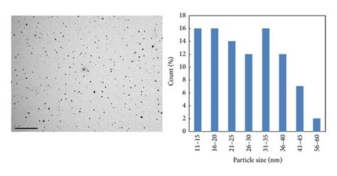 Tem Micrograph And Particle Size Distribution Histogram Of Silver