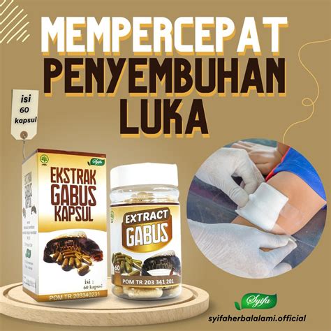 Jual Kapsul Ekstrak Sari Ikan Kutuk Gabus Albumin Untuk Obat Penyembuh
