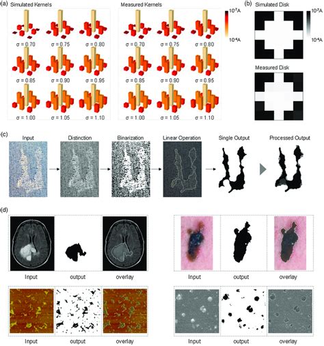 Demonstrations Of The Defect Detection A Simulated And Measured Download Scientific Diagram