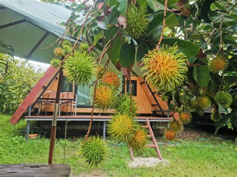 แก่งตาลิ โป่งน้ำร้อน Added A New แก่งตาลิ โป่งน้ำร้อน