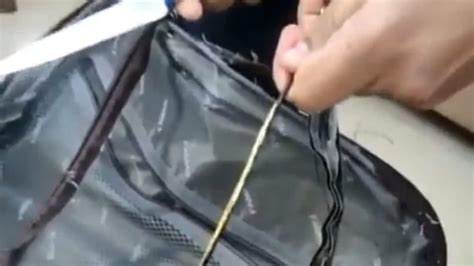 Watch Chennai Customs Seize 1 Kg Gold Worth 45 Lakhs Hidden In Trolley