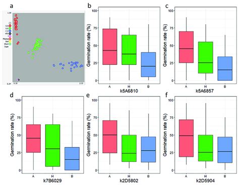 The Phenotypic Variation Of Five Kasp Markers Validated In The