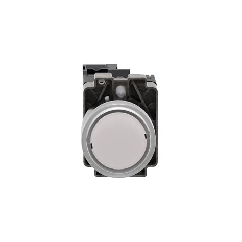 Schneider Illuminated Push Button White Ac220v