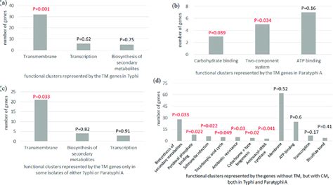 Functional Annotation Clustering And Enrichment Analysis Of A Tnm