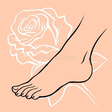 Desenho Das Pernas Femininas Num Fundo Branco Ilustração Do Vetor
