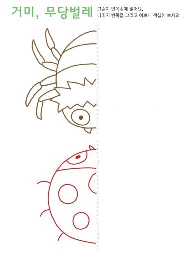 거미 무당벌레 반쪽 그리기 Allcani 우리 아이 전용도서관