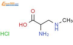 S S Amino Methylamino