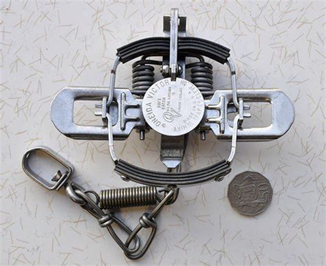 Sneaky Hunting Traps For The Stealthy Hunter