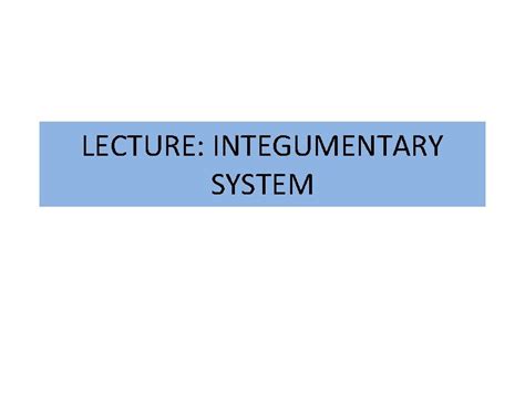 LECTURE INTEGUMENTARY SYSTEM Integumentary System The Skin Along