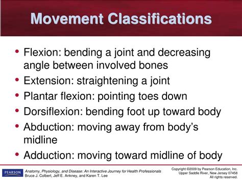 Ppt Chapter 6 The Skeletal System The Framework Powerpoint