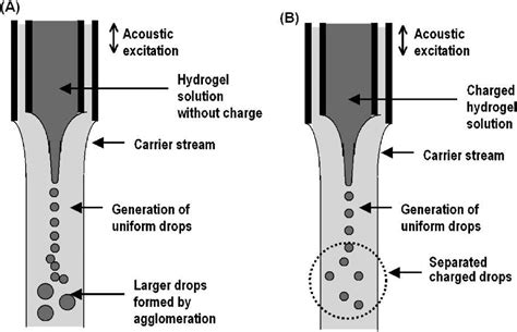 10 Uniform Biodegradable Hydrogel Microspheres Fabricated By A Surfactant Free Electric Field