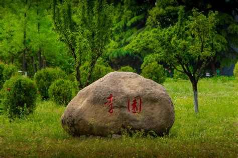 校友服务 校友网