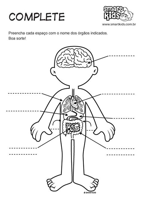 Corpo Humano Complete Órgãos Smartkids Sistemas del cuerpo humano