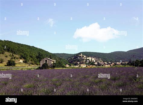 Lavender Fields Historic Village Hi Res Stock Photography And Images Alamy