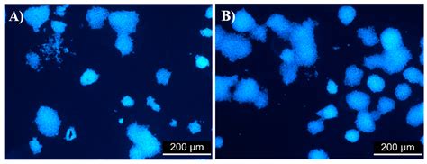 Ijms Free Full Text Furcellaran Surface Deposition And Its