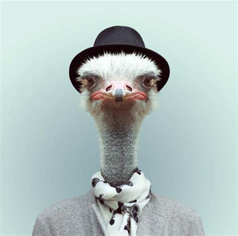 Hilarious Zoo Portraits by Yago Partal | Bored Panda