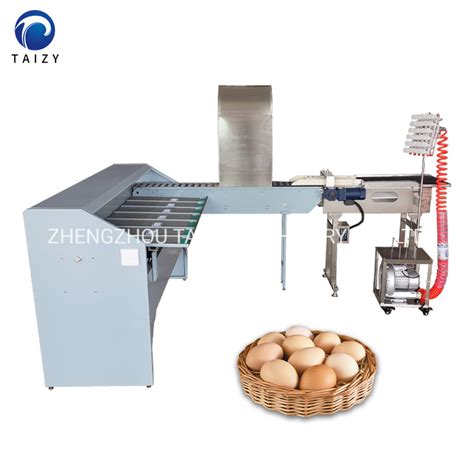 Egg Sorting Grading Machinery Manuel Egg Grader Poultry Equipment Egg